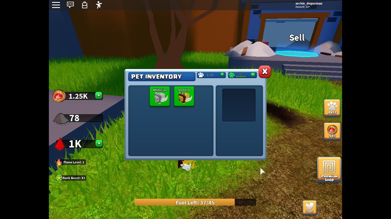 *OP FREE PETS : CODES [Flamethrower Simulator [NEW] - YouTube