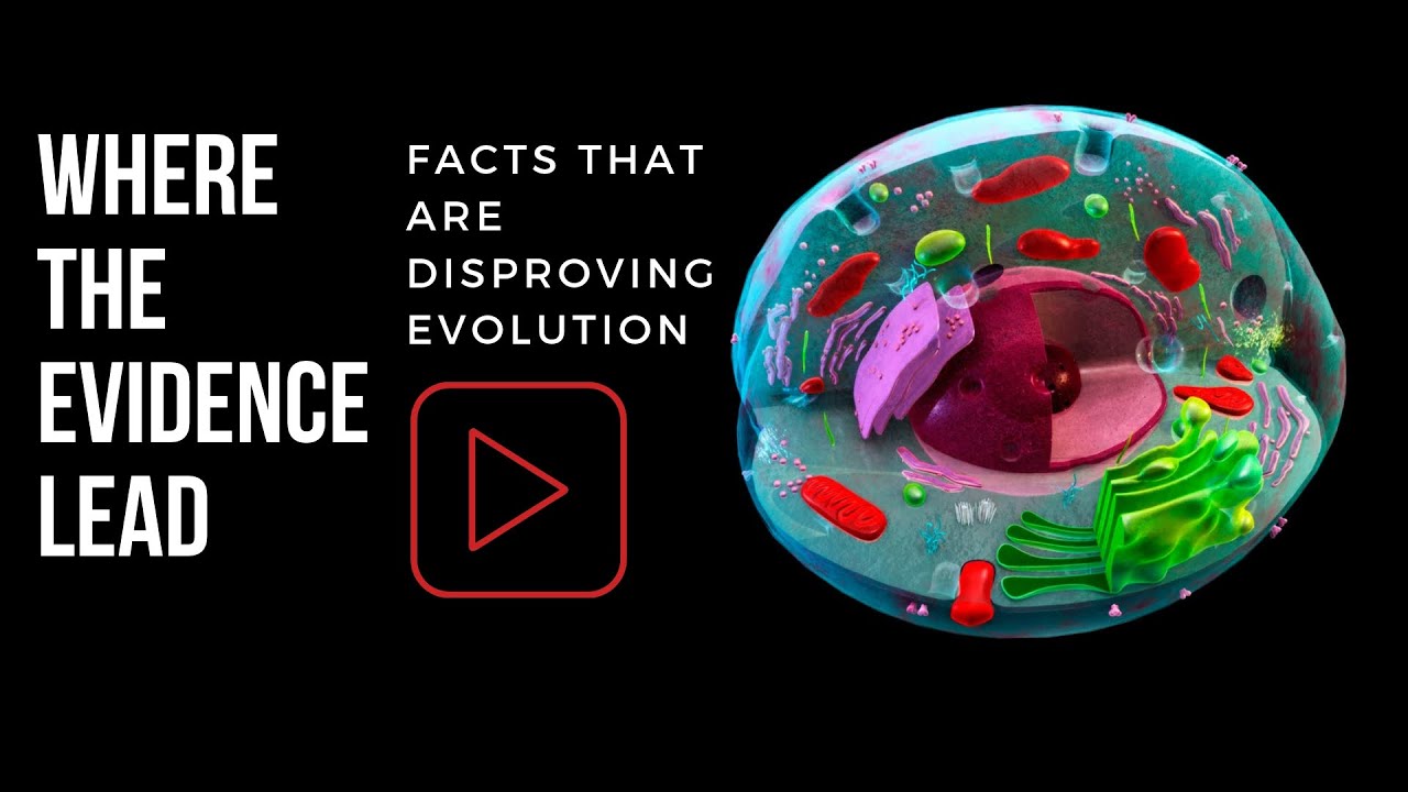 Where Does the Evidence Lead - Creation Documentary / Къде водят ...