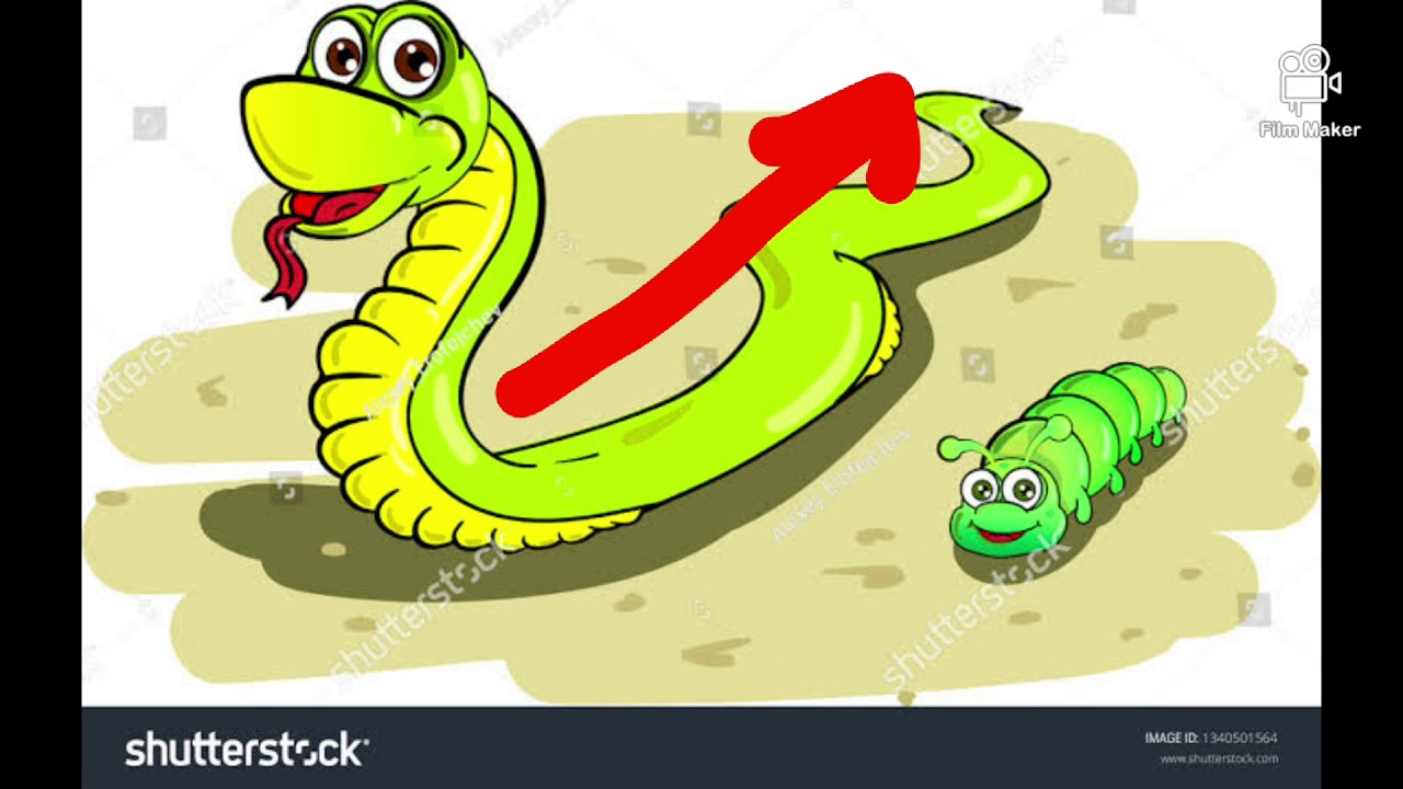 Concept of Long and Short - YouTube