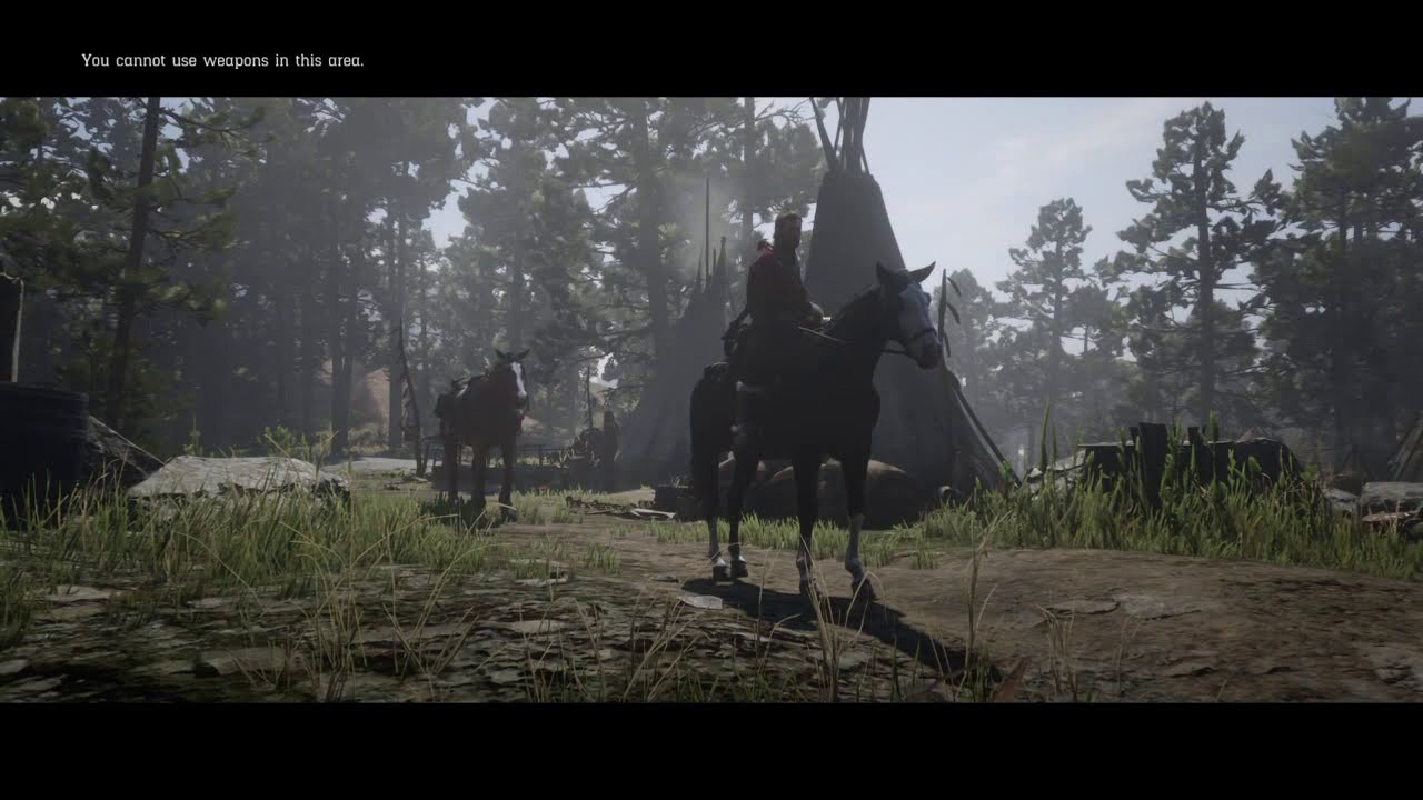 Red Dead Redemption 2 Arthur Visits The Wapiti Indian Reservation With ...