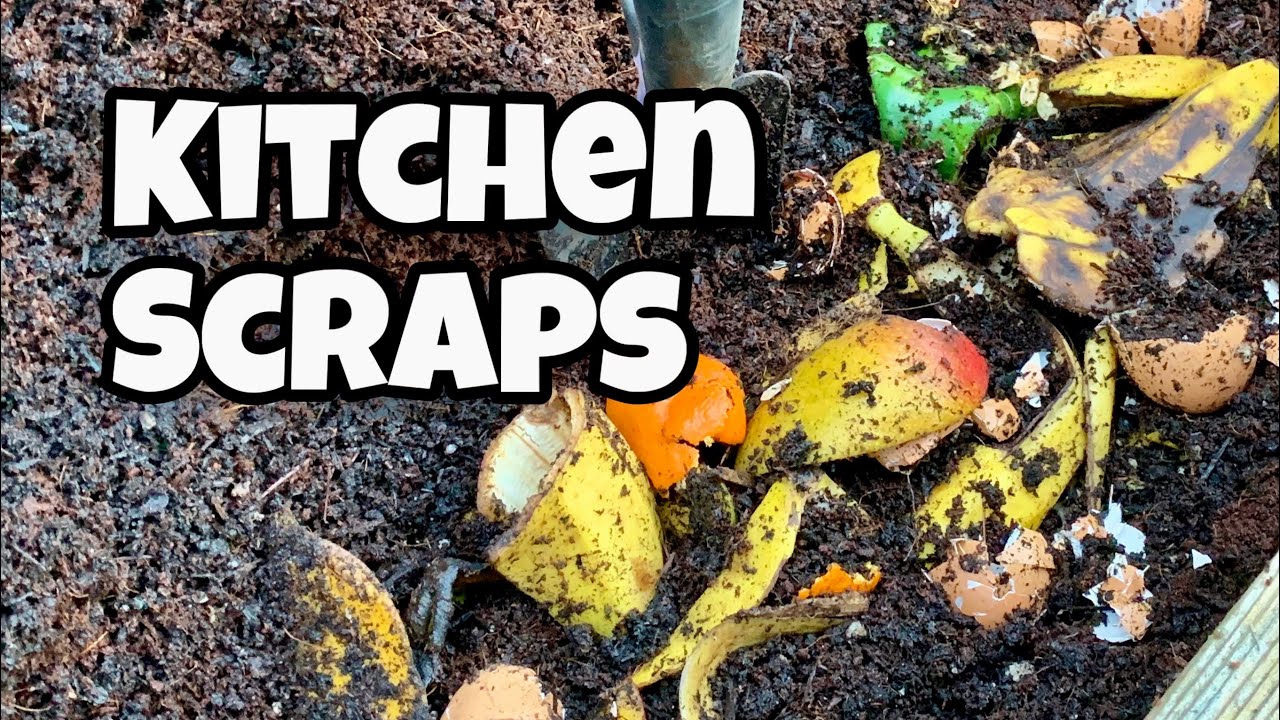 Burying Kitchen Scraps in The Garden - One Month Later - YouTube