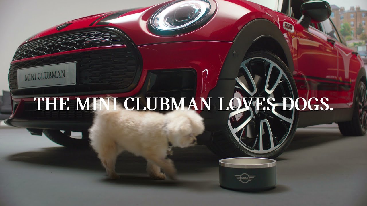 MINI CLUBMAN x DOGS - YouTube