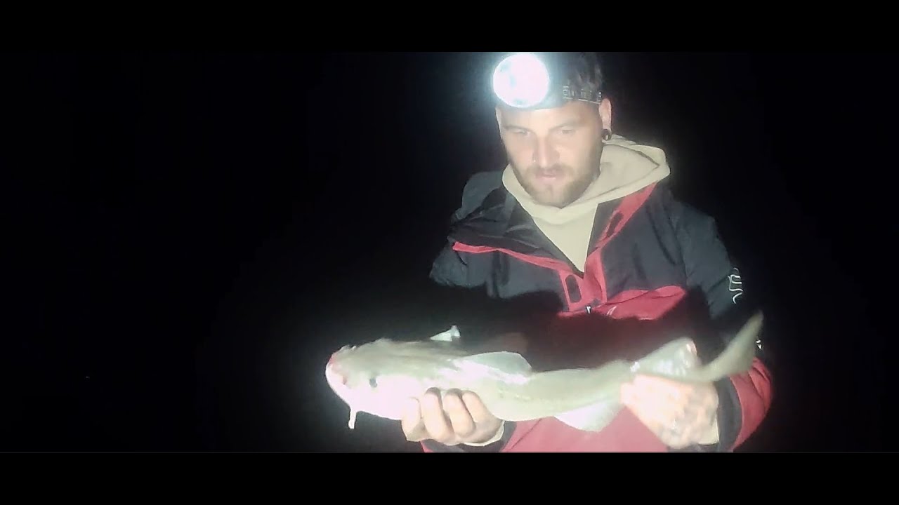North East Cod Fishing | Whitburn | Episode 1 - YouTube