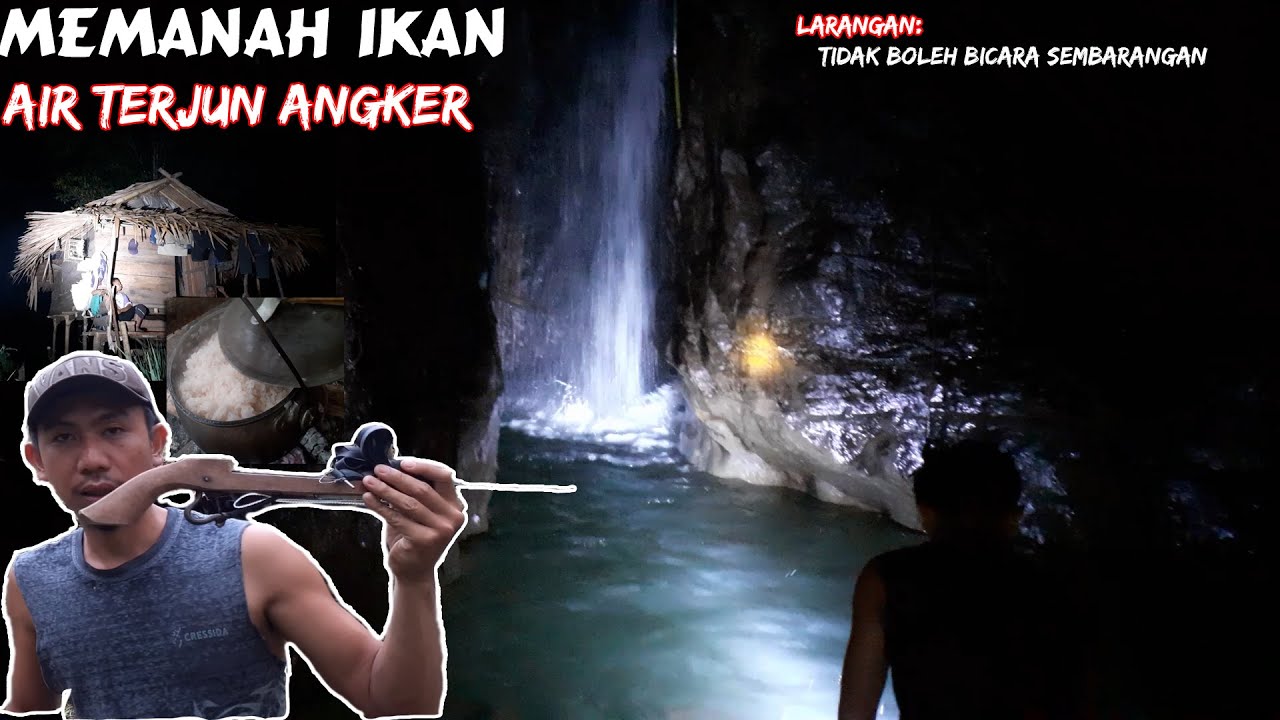 MEMANAH IKAN dan UDANG PETUALANGAN MENCARI IKAN DI HUTAN RIMBA WILD ...