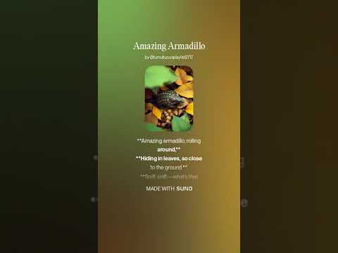 Amazing Armadillo (Rap)