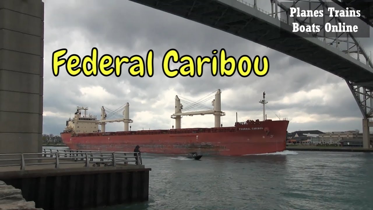 200m Federal Caribou Bulk Carrier Ship Up St Clair River - YouTube