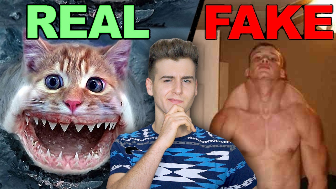 Real Or Fake? - YouTube