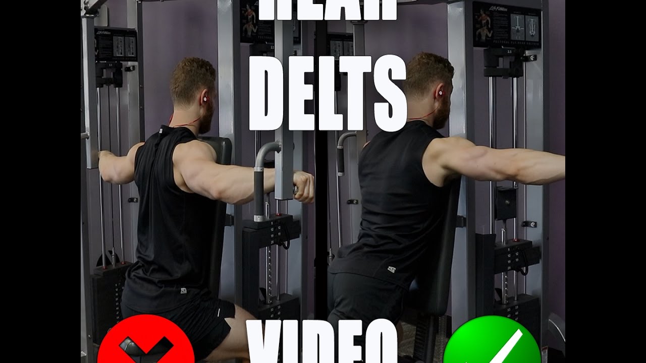 Machine Rear Delt Fly | Execution Series | PhysiqueDevelopment.com ...