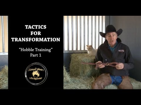 How To Hobble Train Your Horse - COWGIRL Magazine
