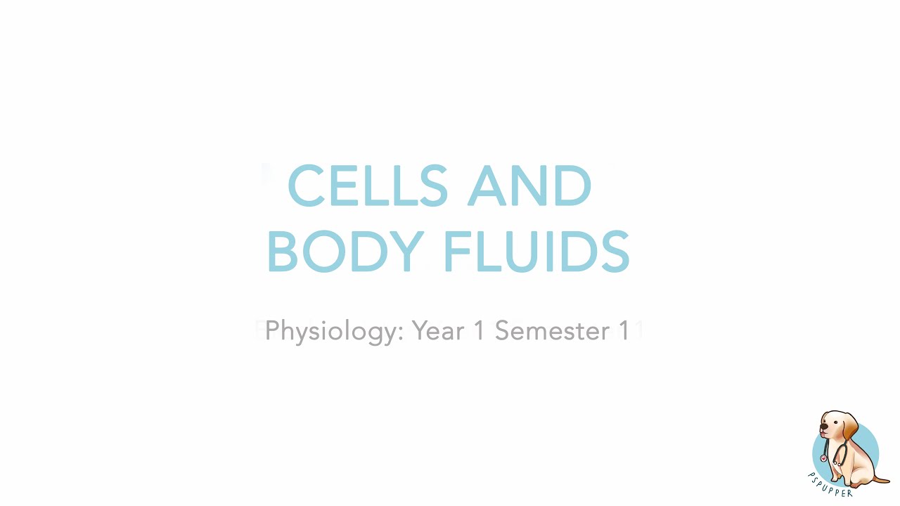 Physiology Concept: Cells and Bodily Fluids - YouTube