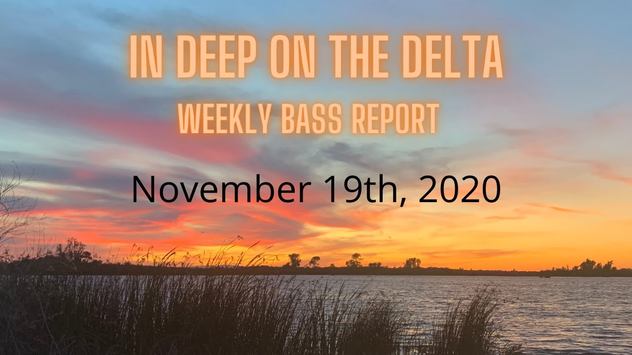 November 19th Report YouTube november-19th-report-youtube