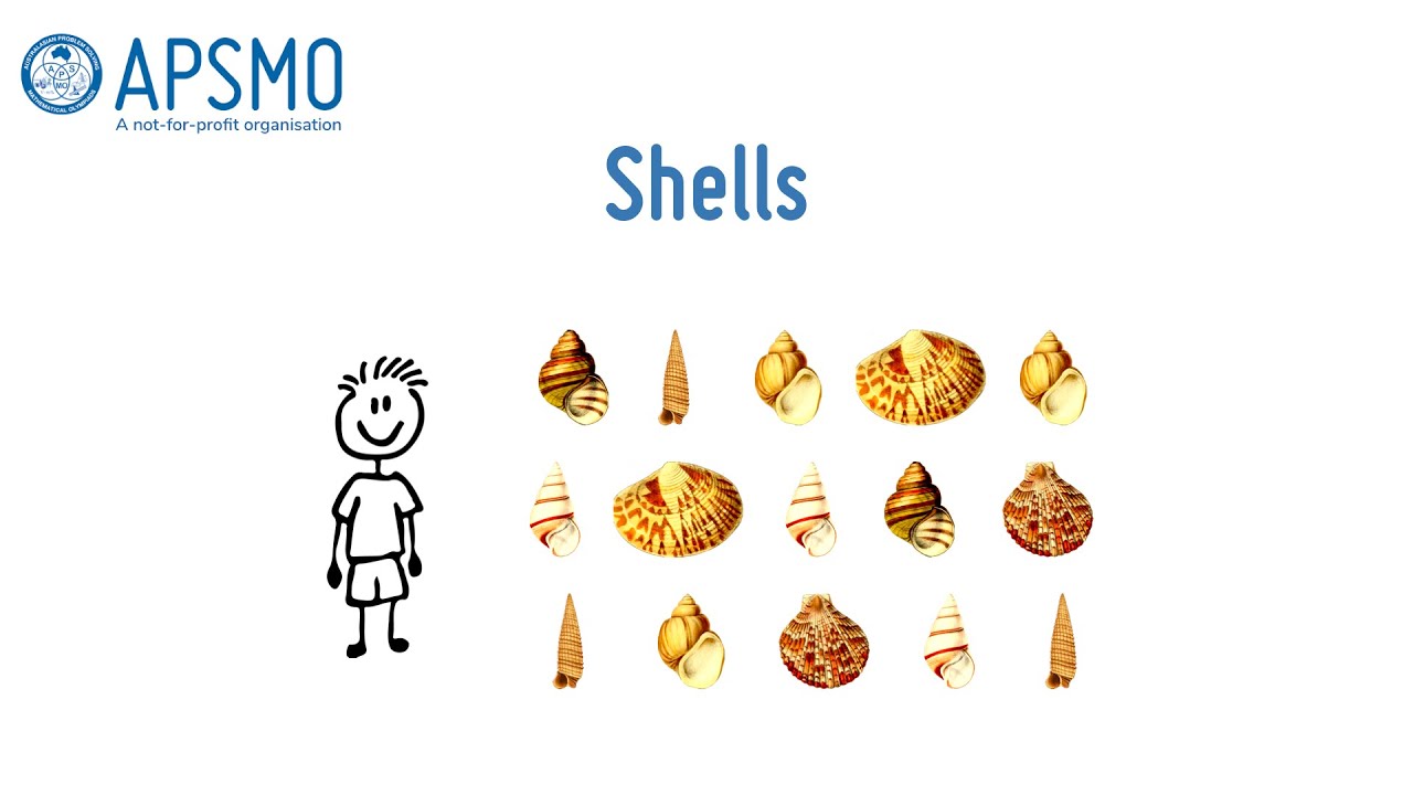 POW Collecting Shells Q&A ME - YouTube