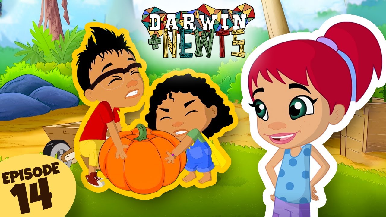 Kiwifruit Valley Flower Show | Darwin & Newts | Episode 14 | Toons Pak ...