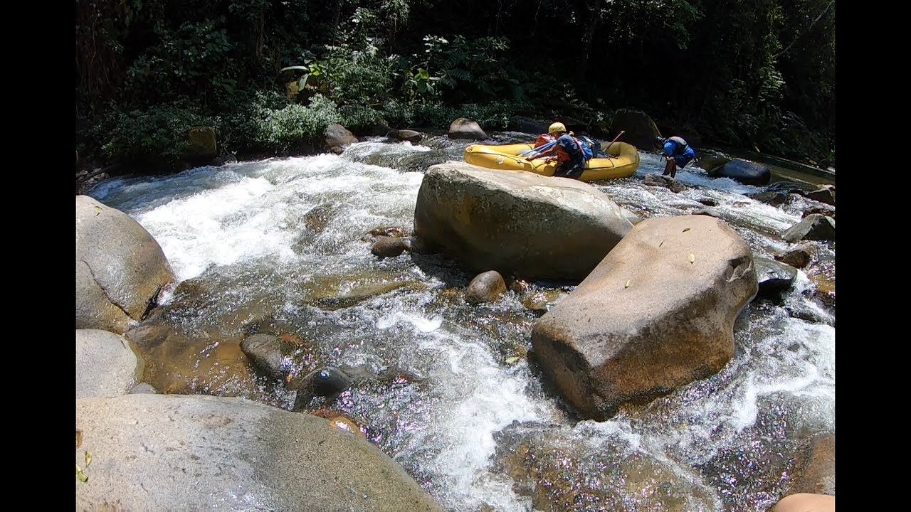 EXPEDICIÓN RESERVA DE LA BIOSFERA DEL RÍO PLÁTANO 2023, HONDURAS. I ...