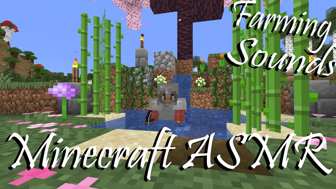 Cozy Minecraft ASMR W/ Fan Noises & Soft-Spoken Affirmations - YouTube