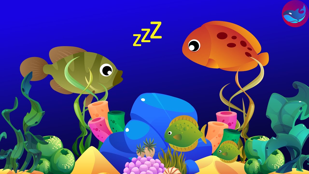 Enjoy The Best Lullaby Fish Animation Video for Babies with soft baby ...