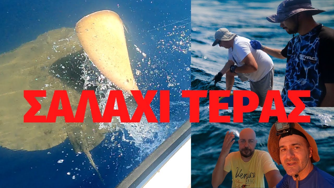 ΠΑΡΑΓΑΔΙ ΣΤΟΝ ΛΟΥΡΟ - ΣΑΛΑΧΙ ΤΕΡΑΣ - BIG DEVIL RAY - YouTube