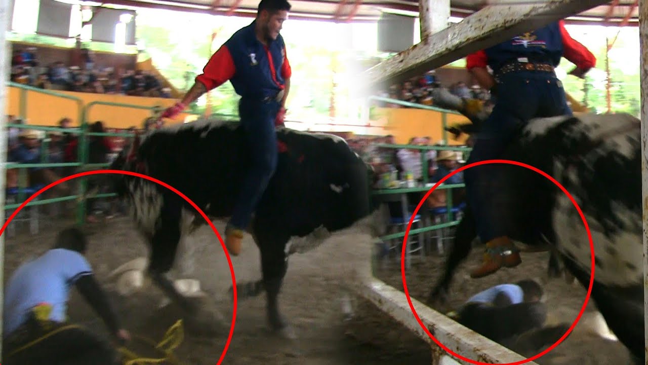 Y ERES BUENO LAZANDO ?🤣🤣🤣 /// LO ALCANZO EL TORO - YouTube