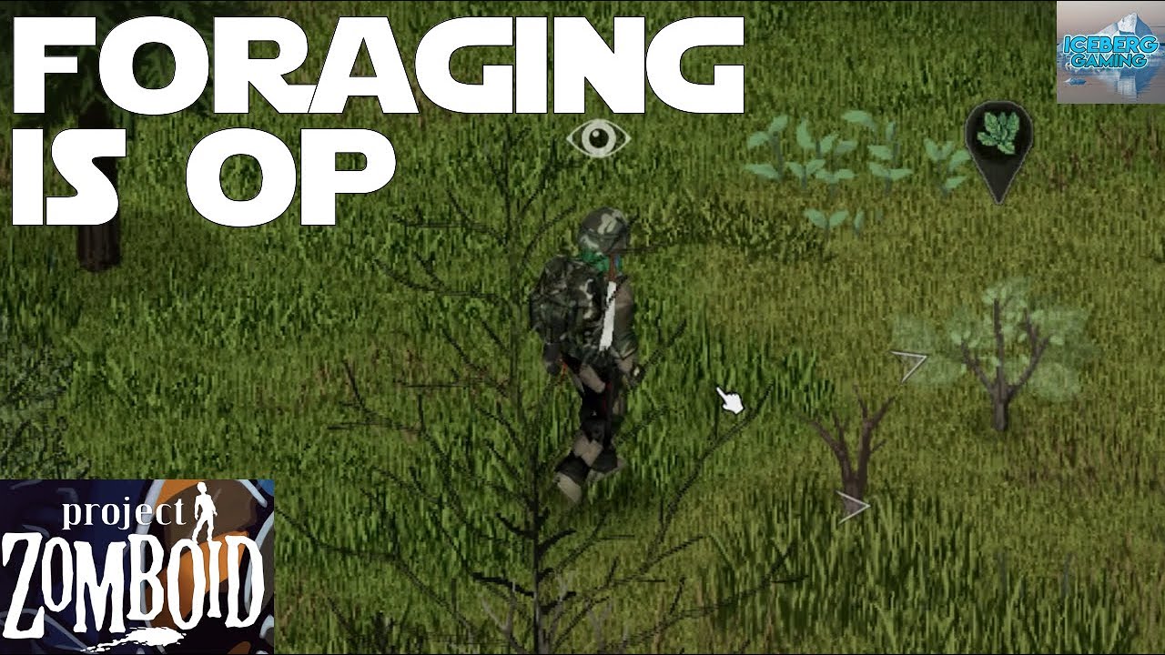 Foraging is OP in Project Zomboid - YouTube