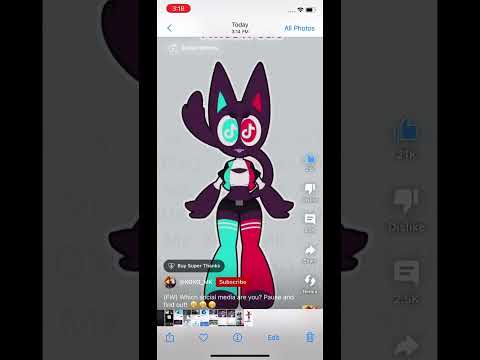 Foxy and TikTok cat from xoxo mk - YouTube