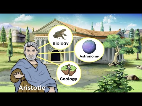 What Did Aristotle Do In The Scientific Revolution