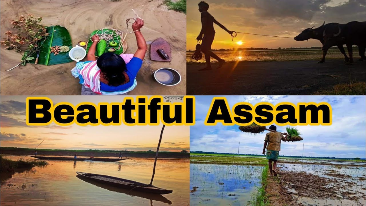 "Beautiful Assam"// Assam//Photoshoot//13/03/2023 - YouTube