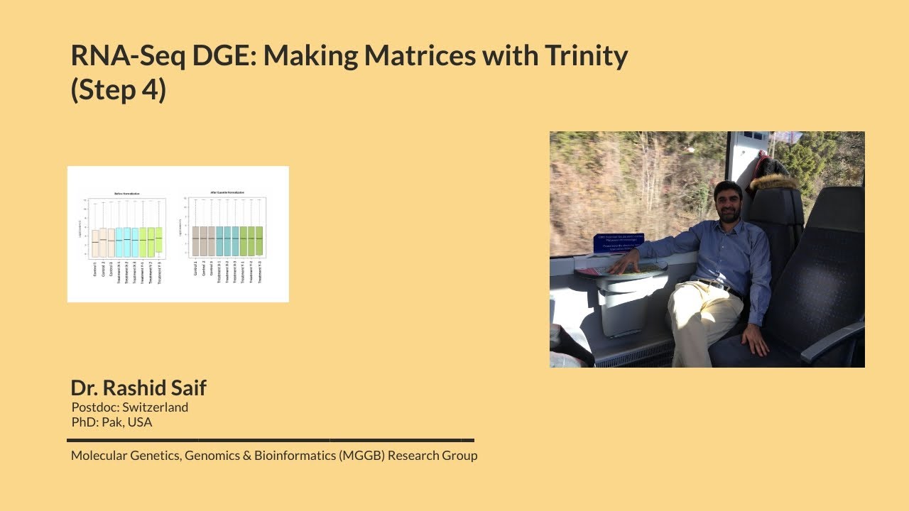 RNA-Seq DGE: Making Matrices with Trinity (Step 4) - YouTube