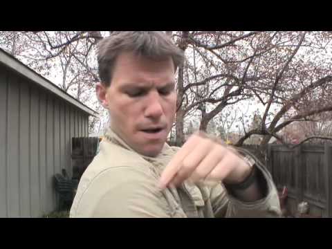 Attack of the Bot Fly! - YouTube