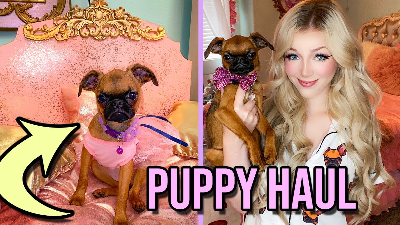 My New Puppy Haul! Lyssy Noel - YouTube