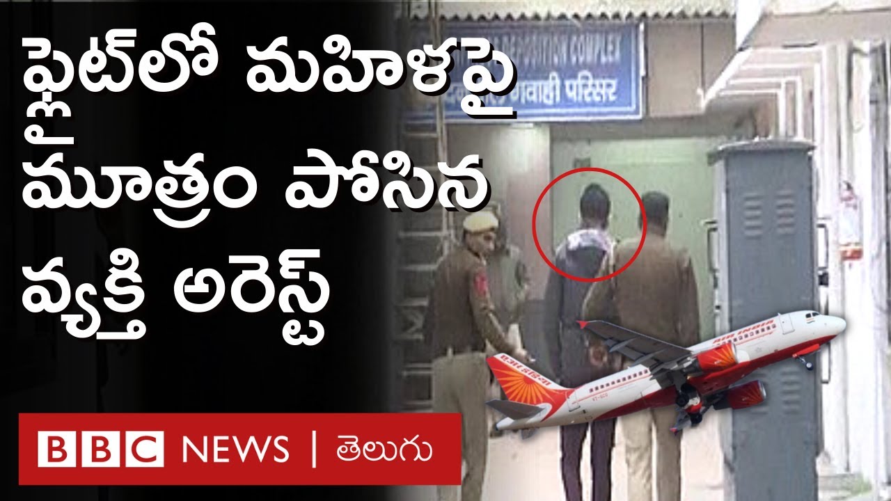Air India urination air-india-urination