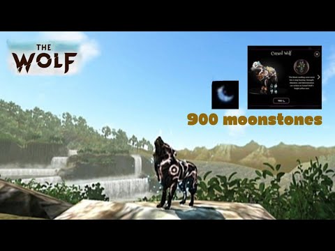 The wolf - Buying Cursed wolf skin | - YouTube