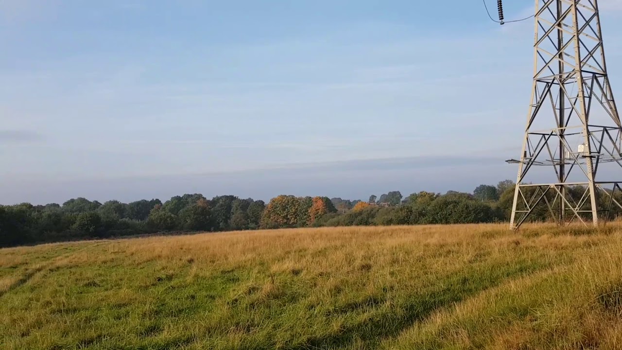 Autumn norton canes1 - YouTube