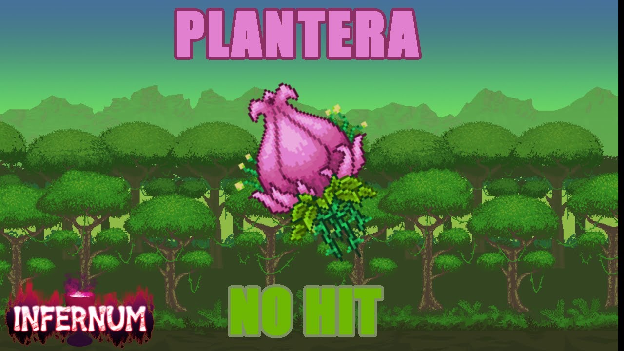 Plantera \\ CALAMITY INFERNUM - NO HIT - YouTube