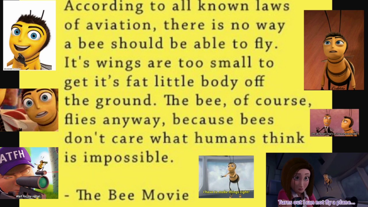 Bee movie LAWS OF AVIATION, but we stole it - YouTube