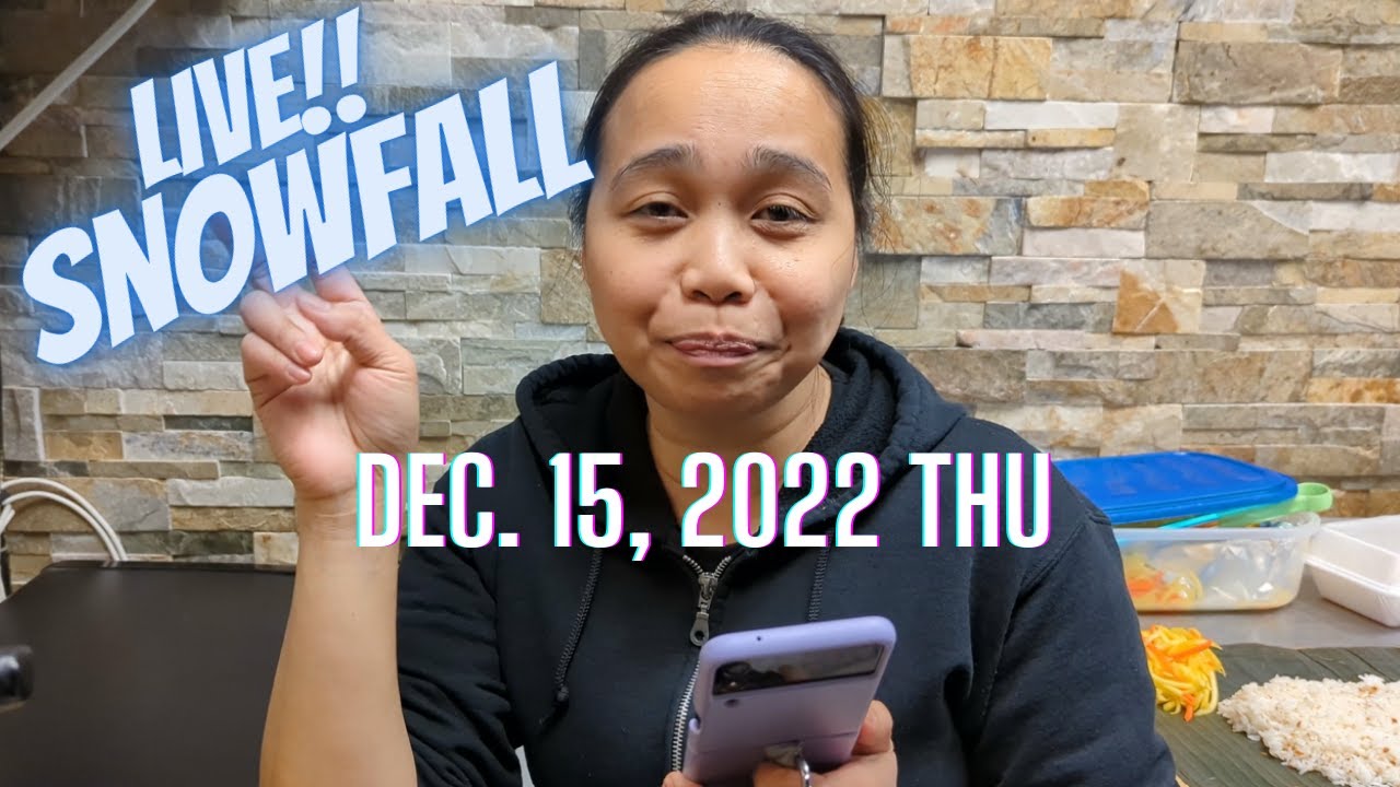 LIVE Snowfall Dec 15, 2022 - YouTube