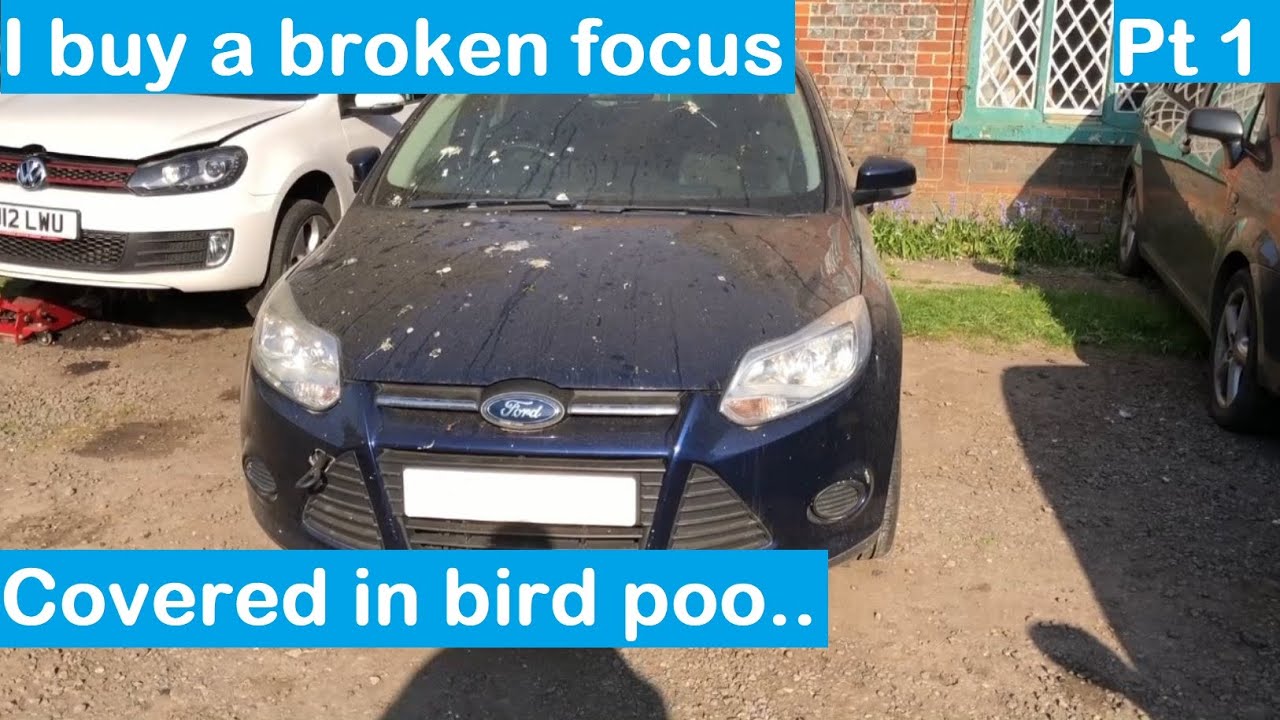I buy a broken bird poop covered Ford focus TDCi ! - pt 1 - YouTube