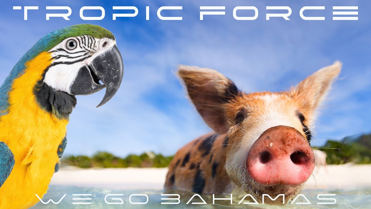 TROPIC FORCE - We Go Bahamas (promo excerpt) - YouTube