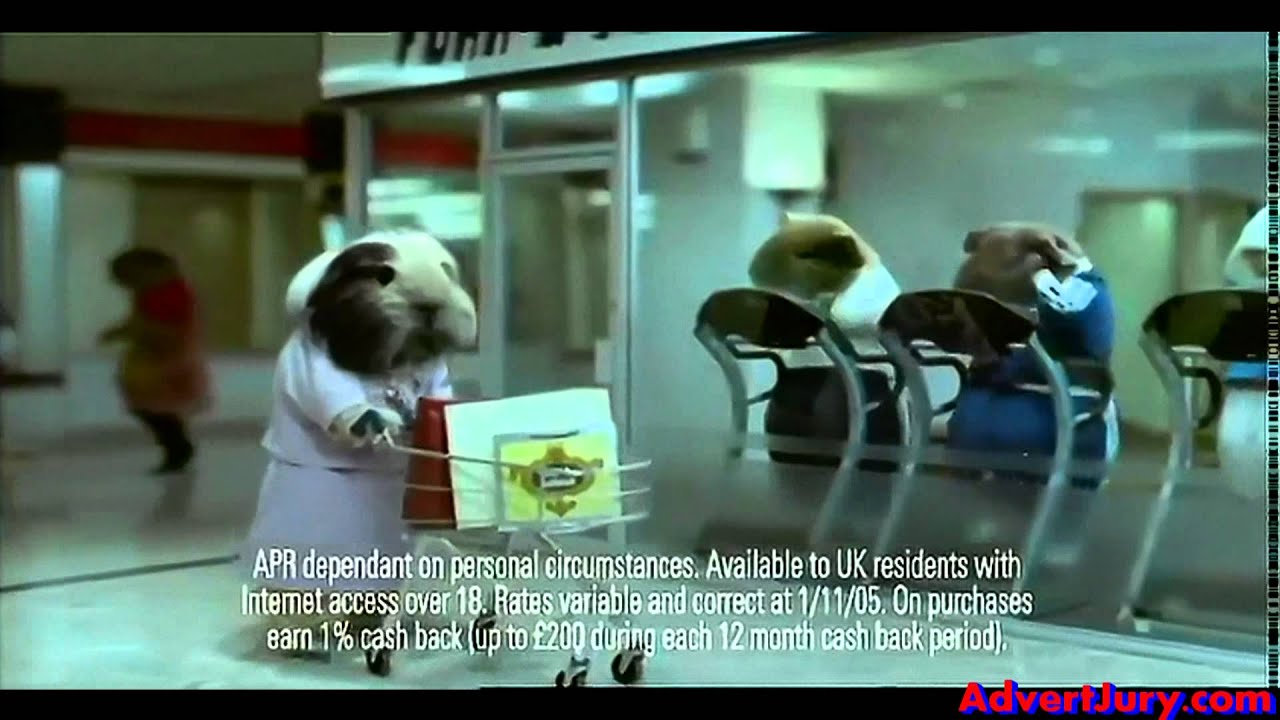 Egg - Money - Shopping Guinea Pigs (Advert Jury) - YouTube