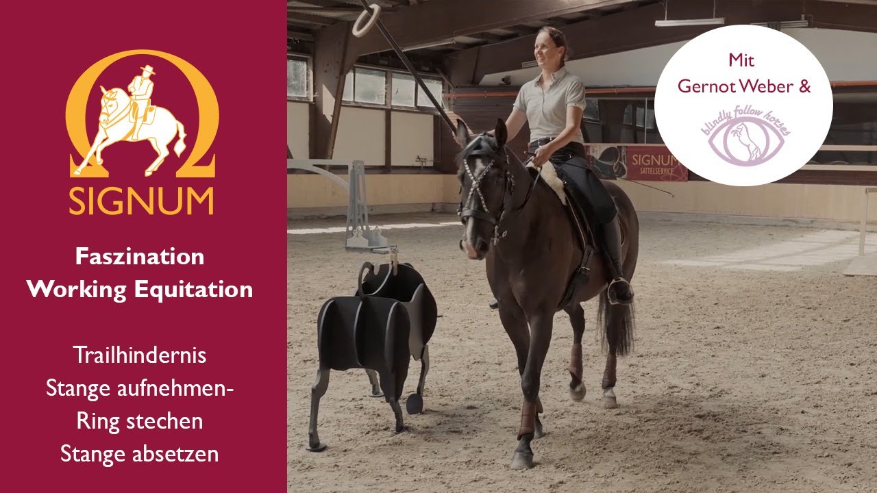 Working Equitation Trailhindernis: Garrocha aufnehmen- Ring stechen ...
