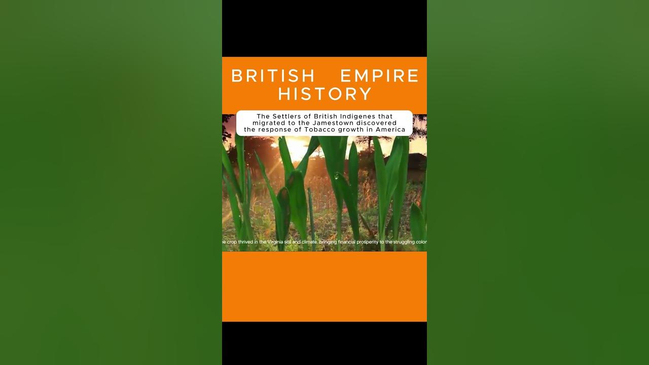 John Rolfe introduced the cultivation of tobacco in Virginia - YouTube