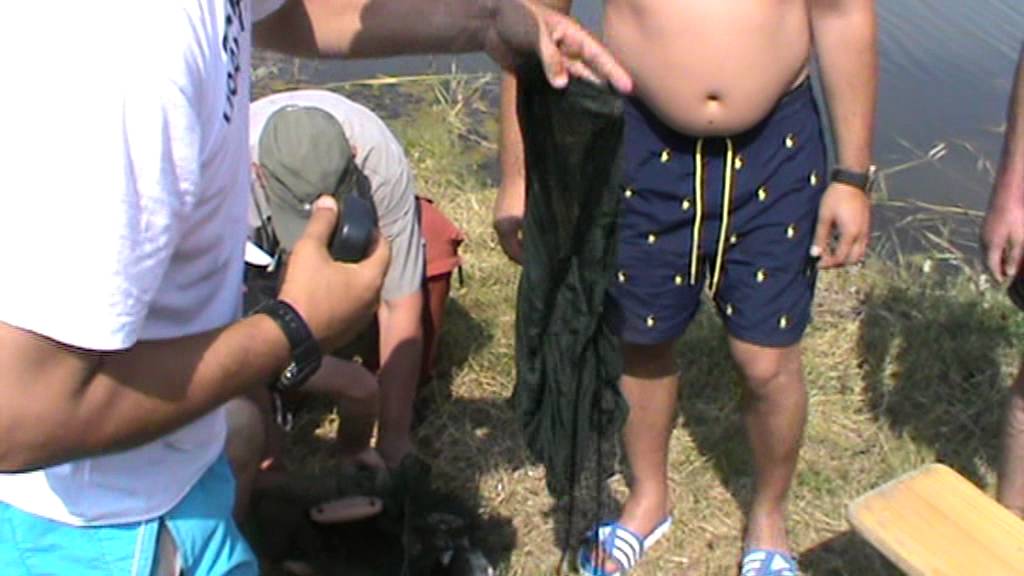 Balta Mariuta 3 Concurs Pescuit 22 23 iunie 2013 stand neiden - YouTube