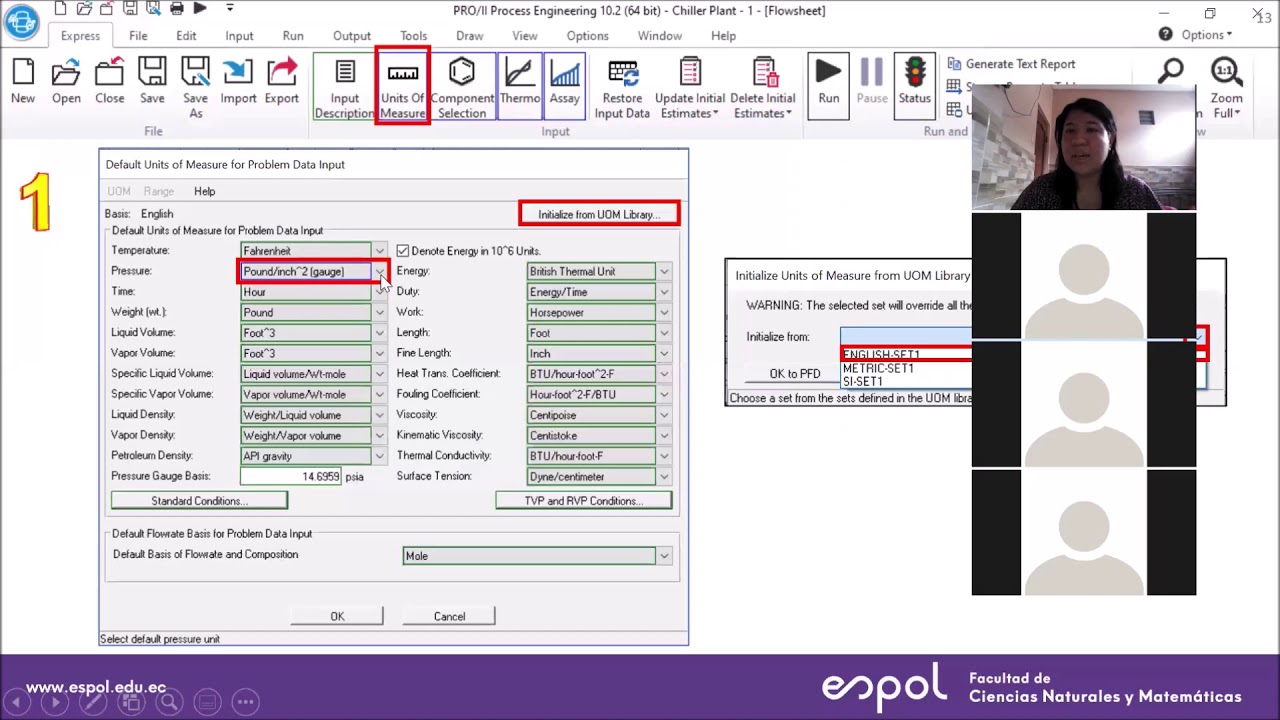 Tutorial PROII - YouTube