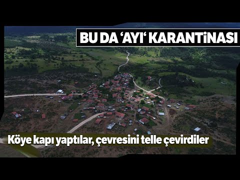 Ayı Korkusu Köyü Açık Cezaevine Çevirdi