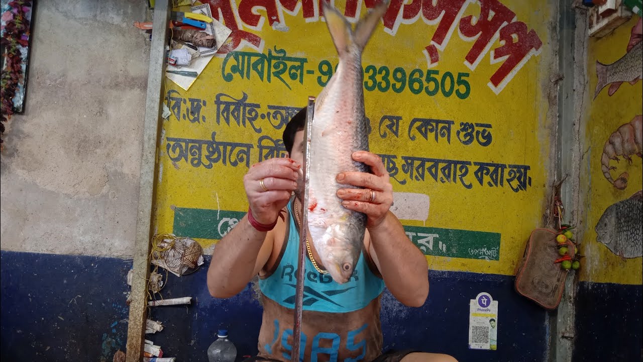 Elisha fish cutting |Elisha fish cutting skills| Elisha fish cutting ...
