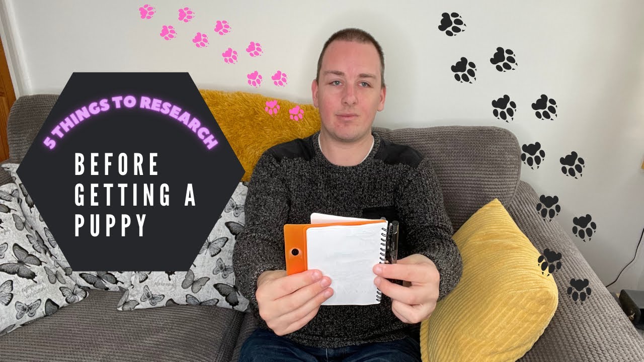 5 things to research before getting a puppy | owning a dog | puppy ...