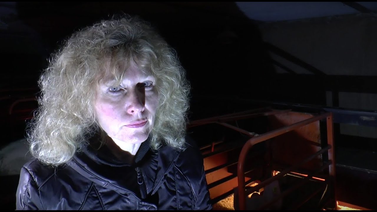 Juliet visits a typical British pig farm - YouTube