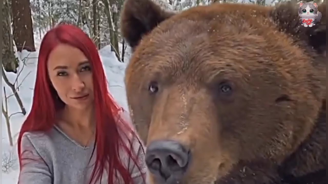 Help! A bear caused a stir in a small town by climbing a utility pole and falling down. - YouTube