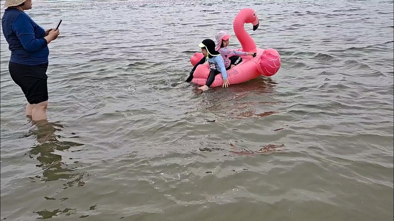 태안 안면해수욕장 플라밍고 튜브 타고 놀기 - YouTube
