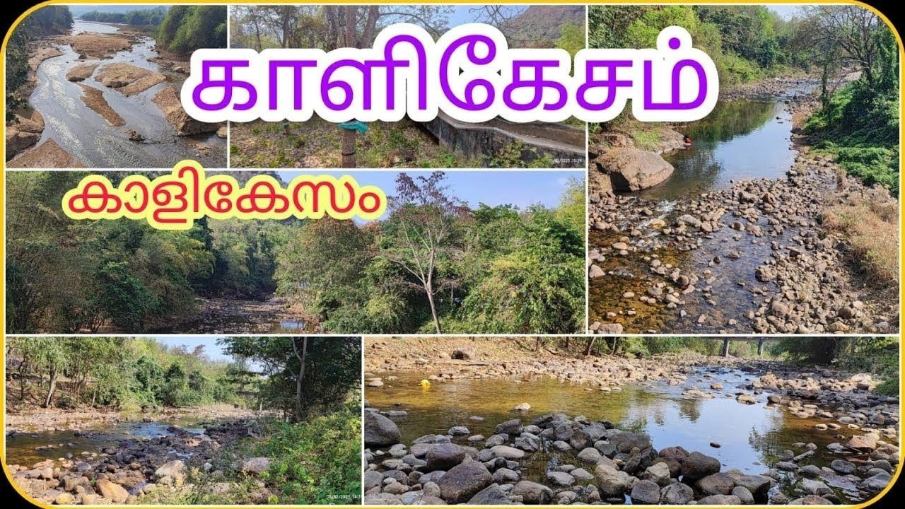 காளிகேசம் / കാളികേസം / Kalikesam Forest / Tamil Nadu/ Nagercoil/ Water ...