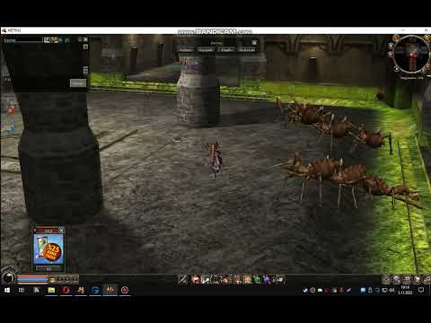 Metin2 bagjanamu 76 level darcing sura nın hile videosu